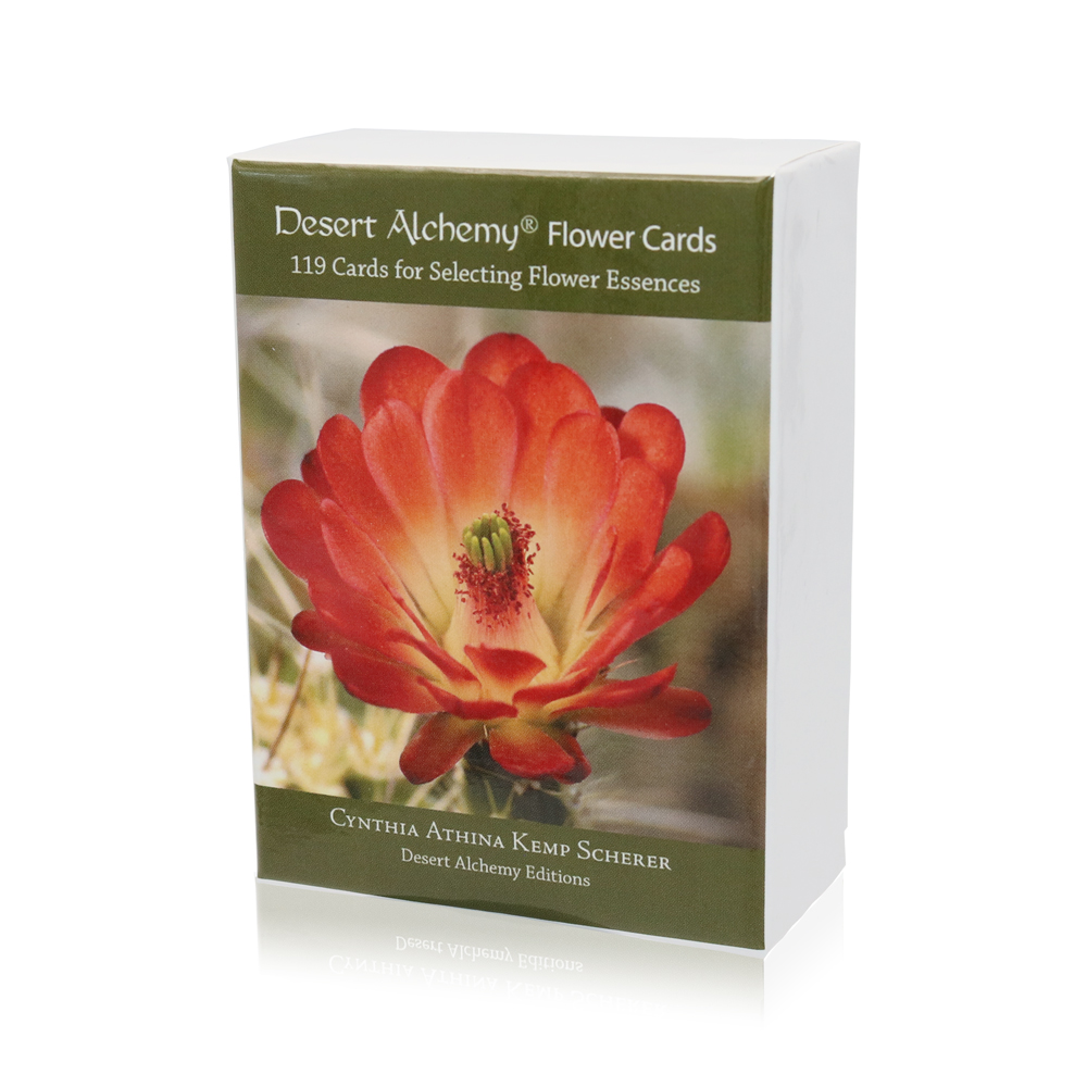 Desert Alchemy Kartenset jetzt vollständig – Das Essenzen Blog