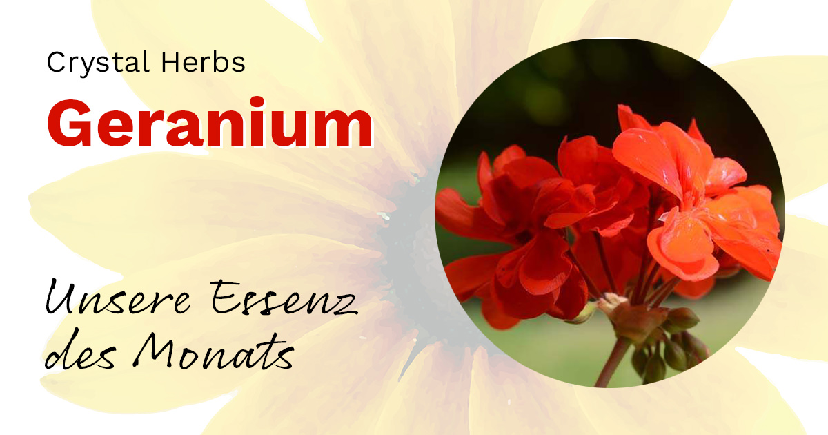 Geranium (Crystal Herbs) - Das Essenzen Blog